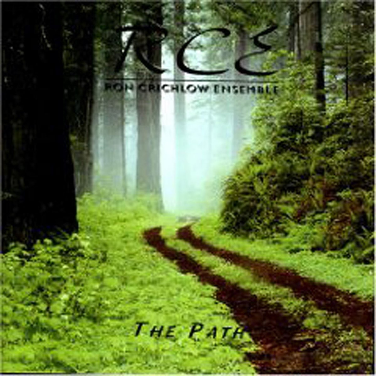 ‎The Path - Album by RCE - Apple Music
