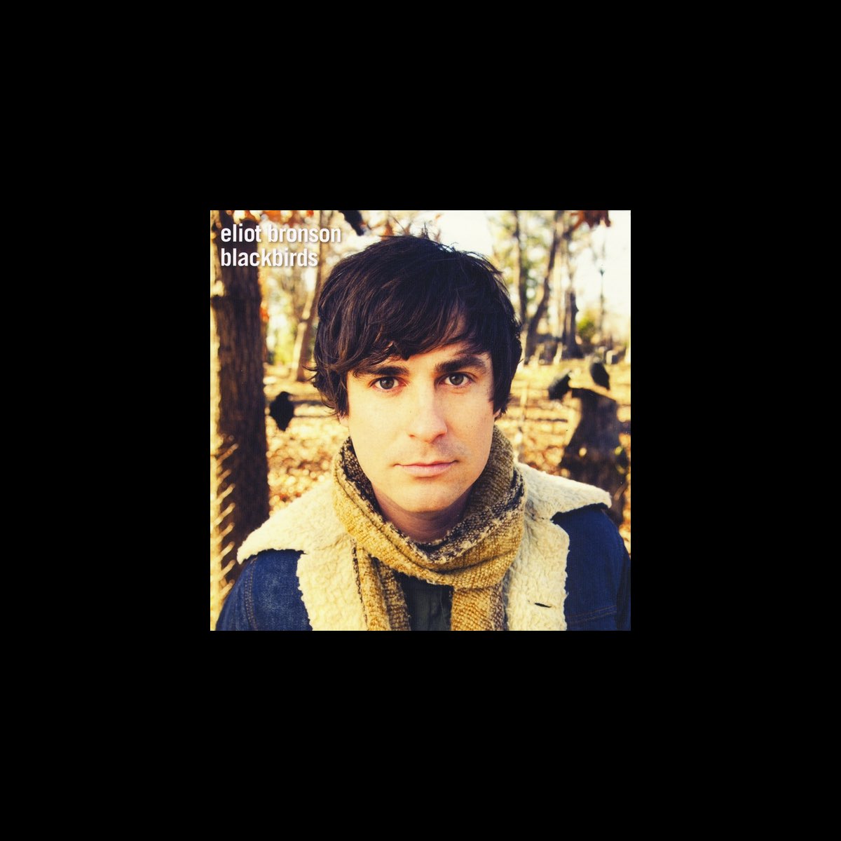 ‎Blackbirds - Album by Eliot Bronson - Apple Music