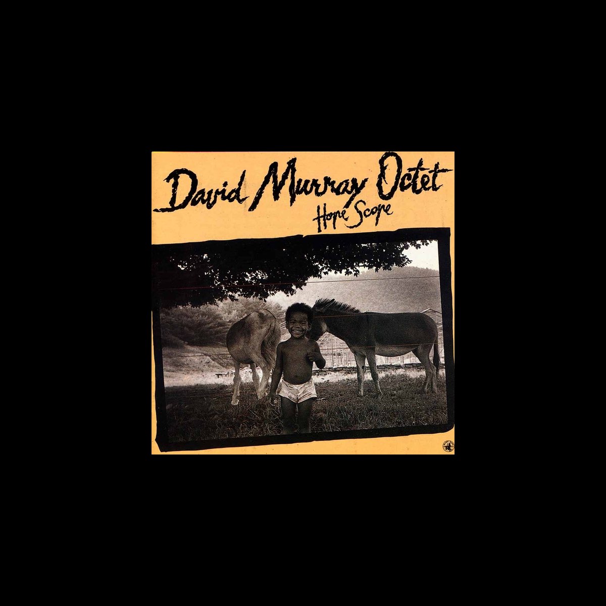 ‎Hope Scope - Album by David Murray Octet - Apple Music