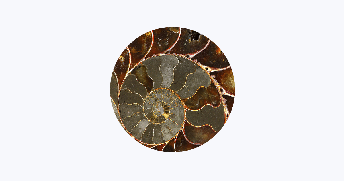 ‎Fernwood - Apple Music