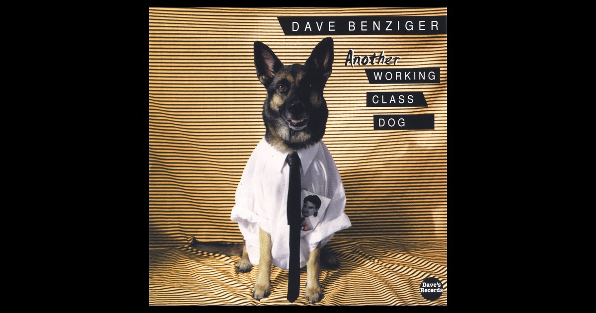 ‎Another Working Class Dog - Dave Benziger의 앨범 - Apple Music