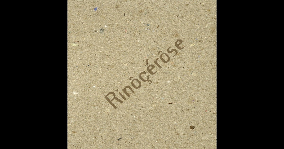 ‎Rinôçérôse - Album by Rinôçérôse - Apple Music