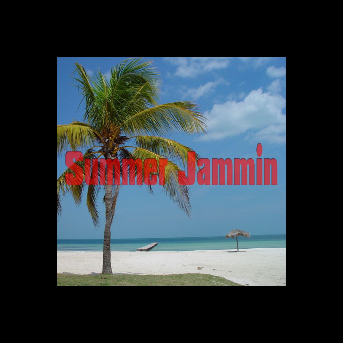 ‎Summer Jammin' - Album by Various Artists - Apple Music