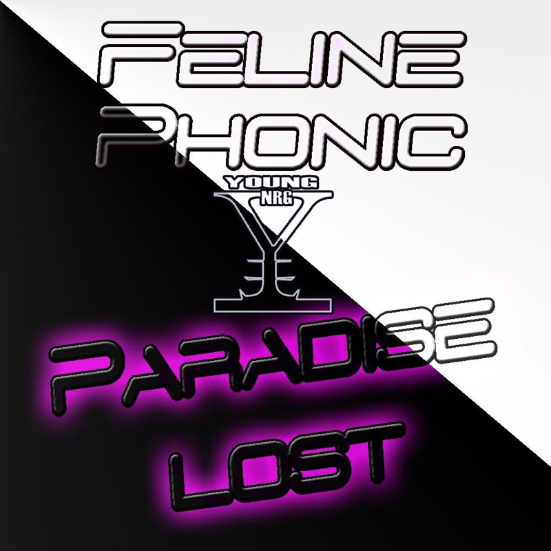 Paradise Lost (Extract Mix 2) - Feline Phonic: Song Lyrics, Music ...