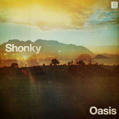 Oasis - Shonky | Shazam