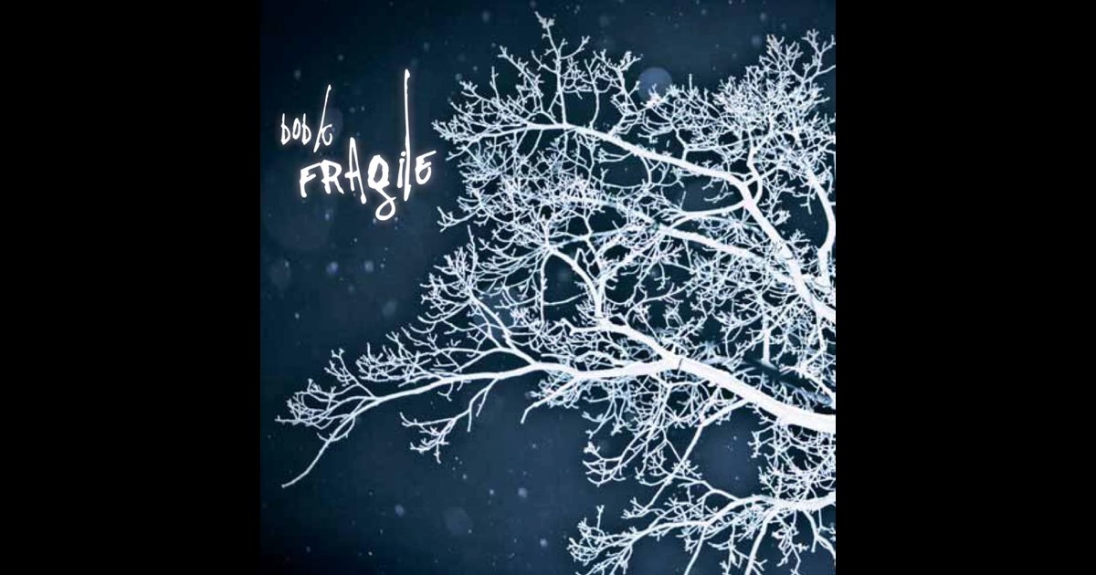 ‎Fragile – Album par Bob K – Apple Music