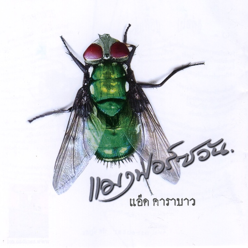 สู้ต่อไป - Add Carabao: Song Lyrics, Music Videos & Concerts