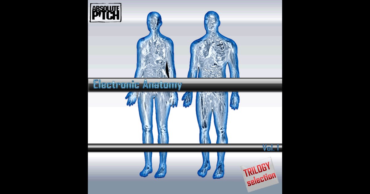 ‎Electronic Anatomy - Album by Various Artists - Apple Music
