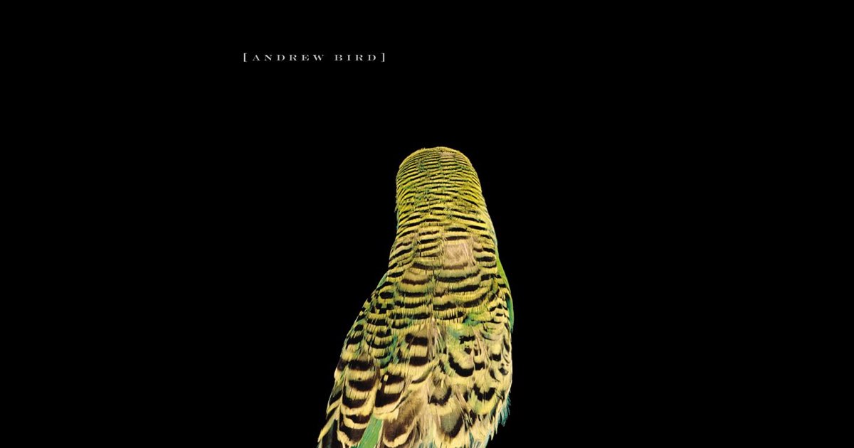 ‎Armchair Apocrypha - アンドリュー・バードのアルバム - Apple Music