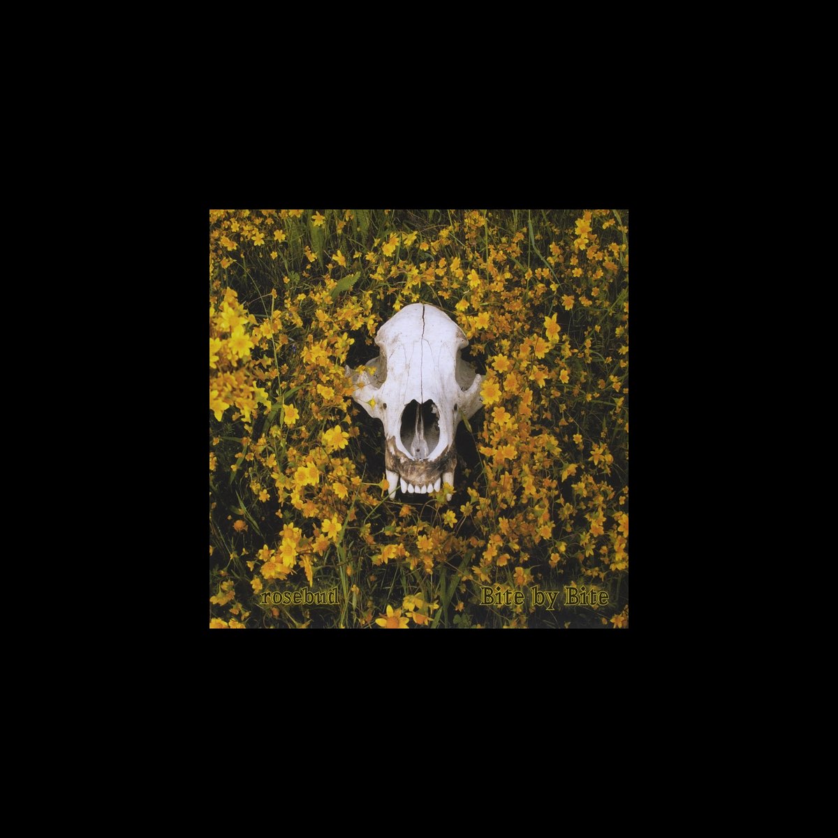 ‎Bite By Bite - Álbum de Rosebud - Apple Music