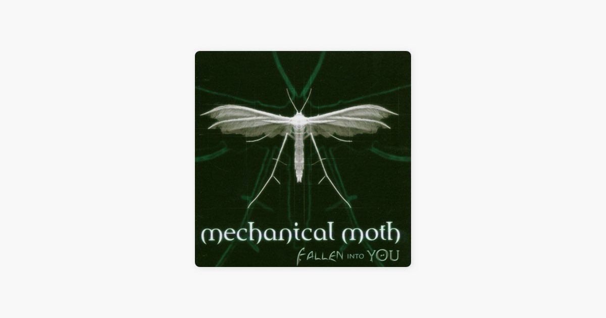‎Fallen Into You - Album by Mechanical Moth - Apple Music