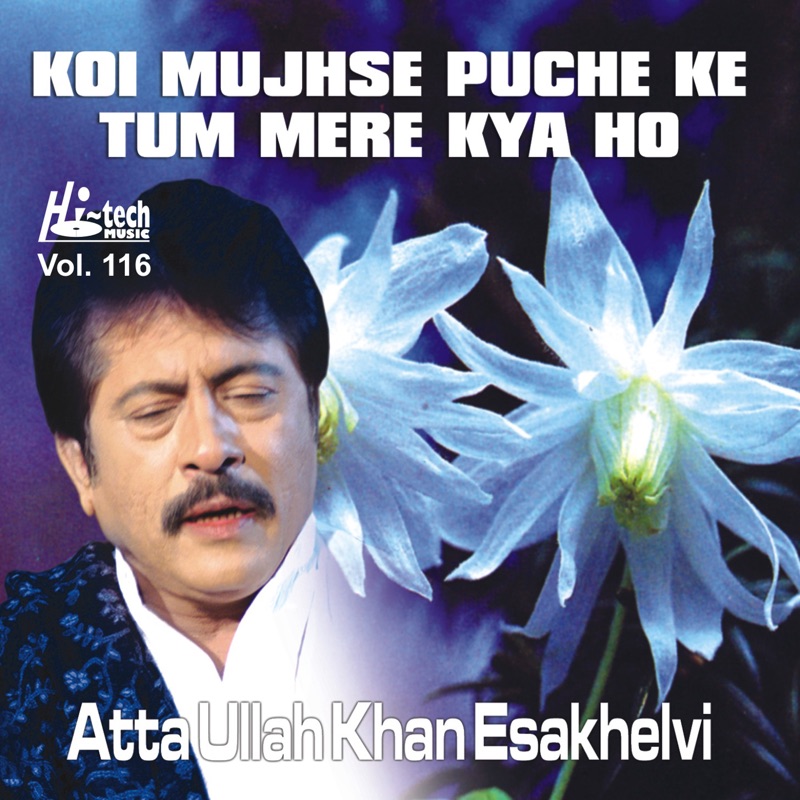 Koi Mujh Se Puche Ke Tum Mere Kya Ho - Atta Ullah Khan Esakhelvi: Song Lyrics, Music Videos ...