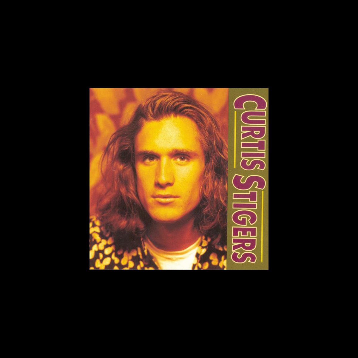 ‎Curtis Stigers - Album by Curtis Stigers - Apple Music