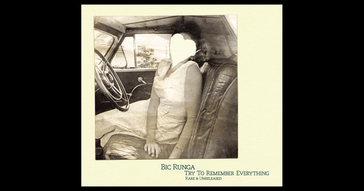 ‎Try to Remember Everything (Rare & Unreleased) - Album by Bic Runga ...