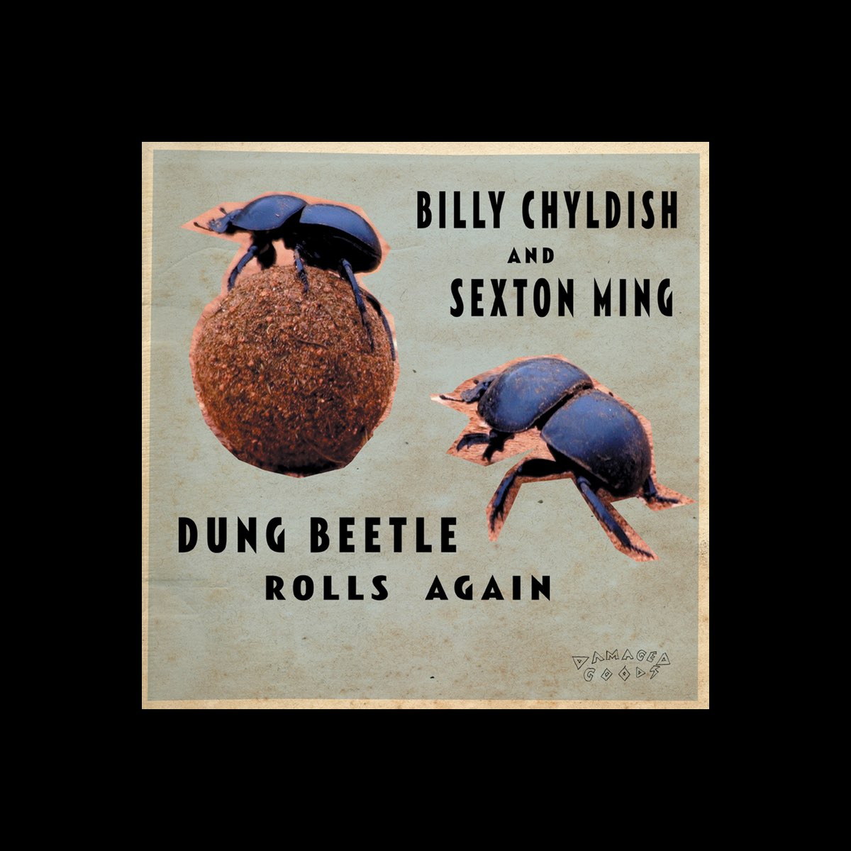 ‎Dung Beetle Rolls Again - Album by Billy Childish & Sexton Ming ...