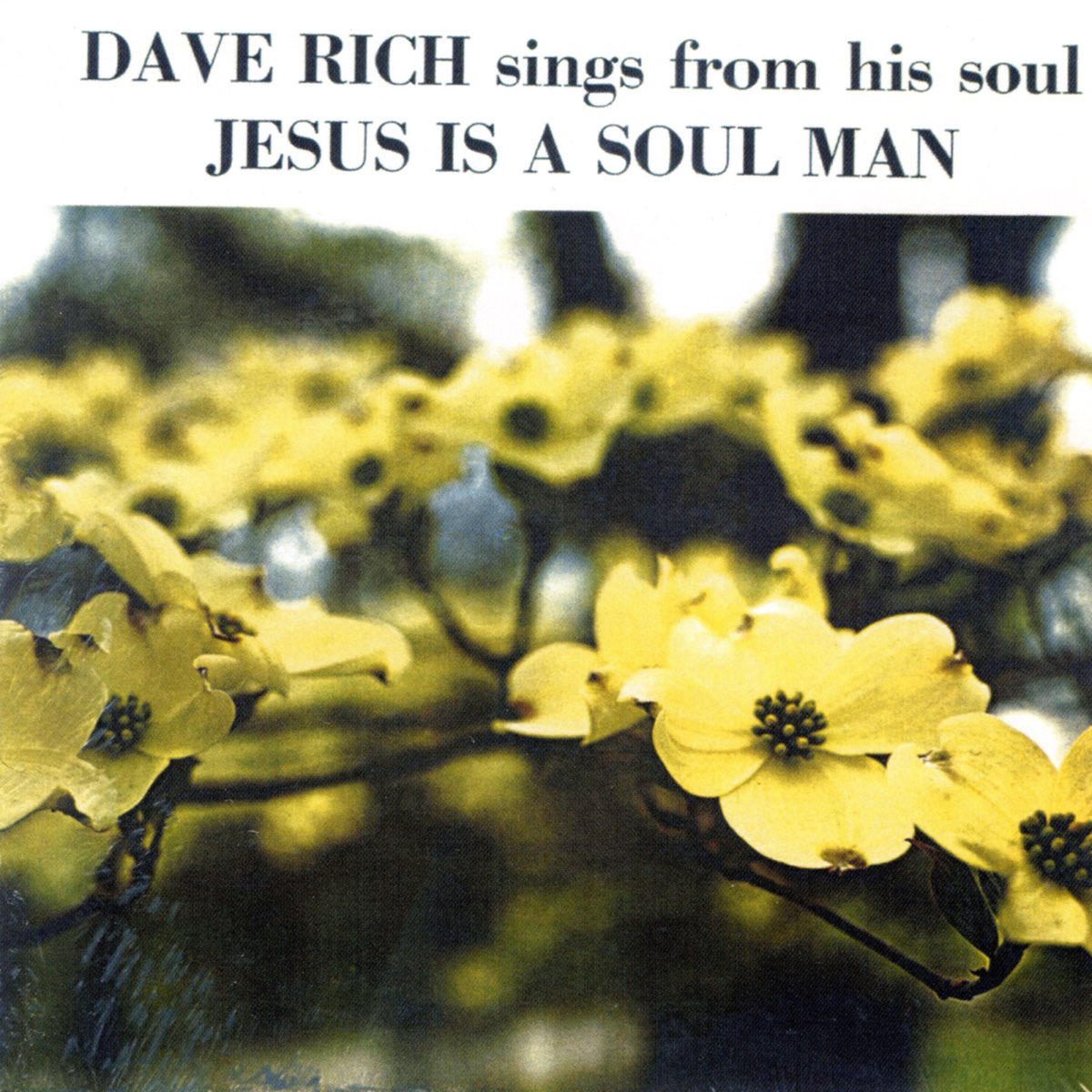 ‎Jesus Is a Soul Man - Album by Dave Rich - Apple Music