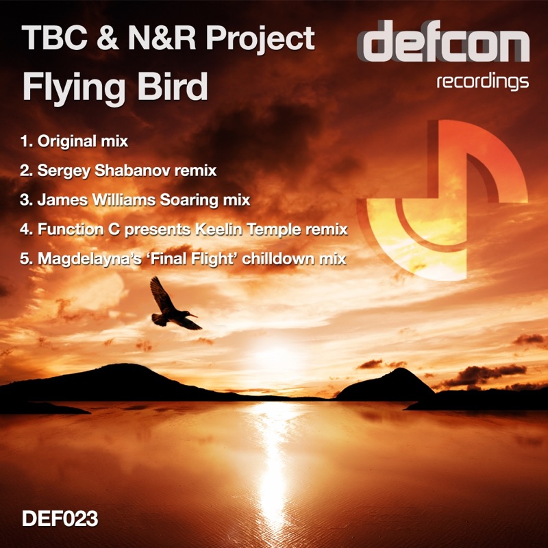 Flying Bird (Function C presents Keelin Temple Remix) - TBC and N&R Project: Song Lyrics, Music ...