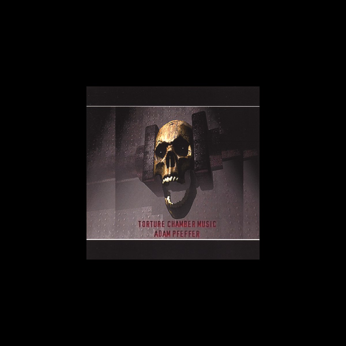 ‎Torture Chamber Music - Adam Pfefferのアルバム - Apple Music