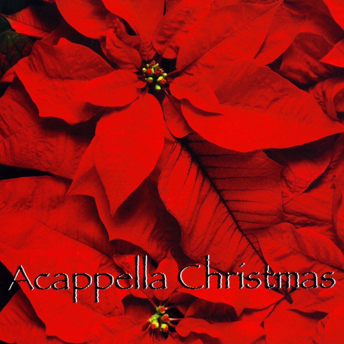 ‎A Cappella Christmas - Album by Discovery Singers - Apple Music