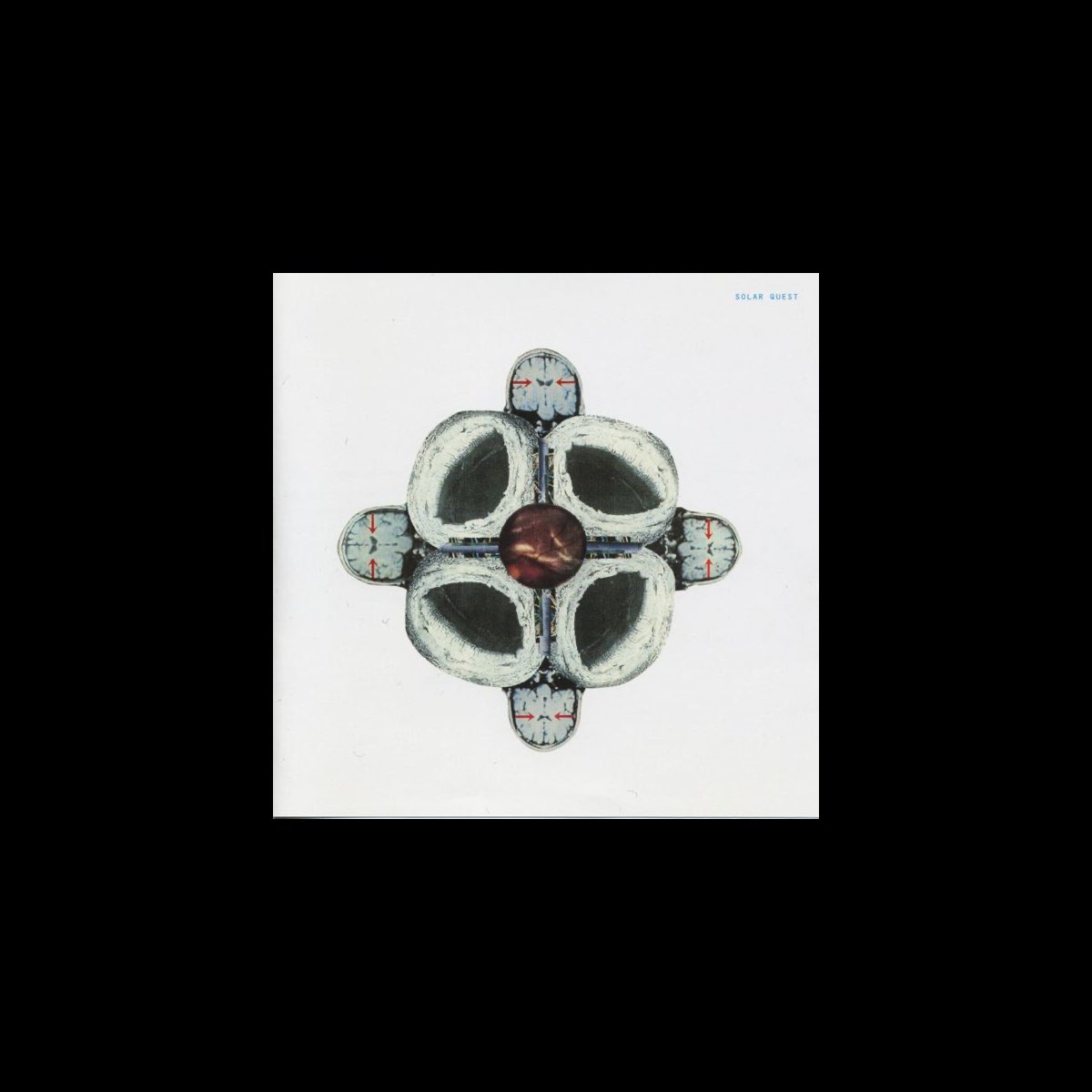 ‎Orgship - Album by Solar Quest - Apple Music