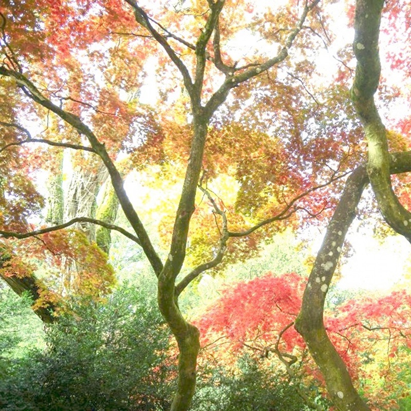 Inside Out - Barnaby Carter: Song Lyrics, Music Videos & Concerts