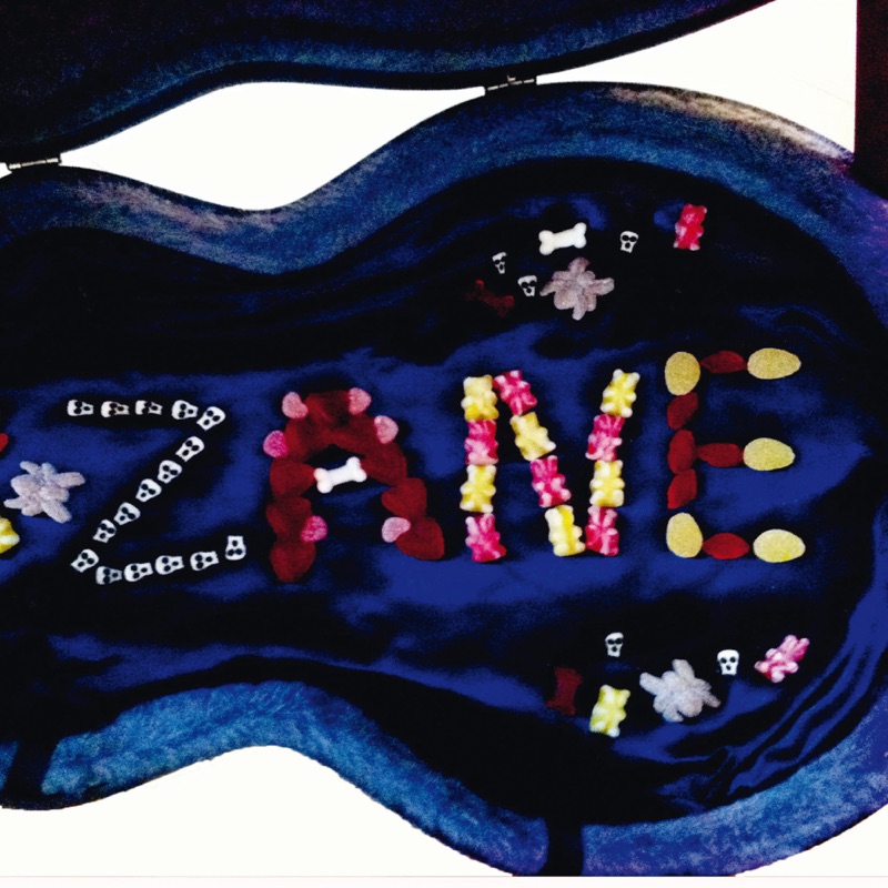 Flowers In The Rain - Zane: Song Lyrics, Music Videos & Concerts