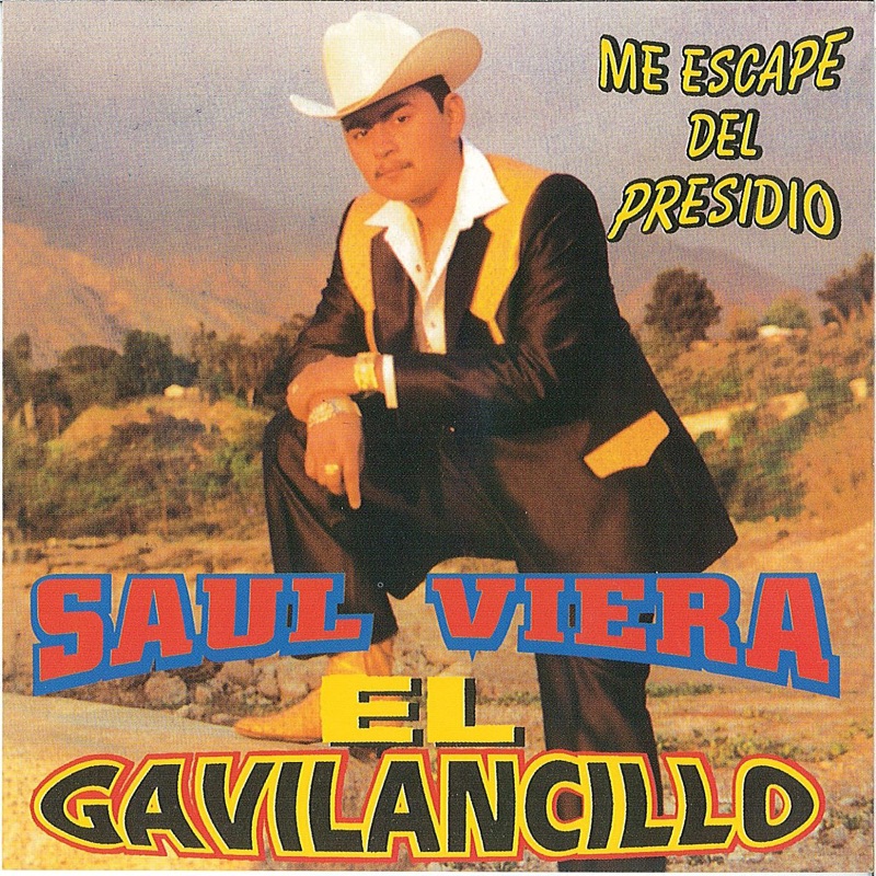 Los Tres Hermanos Rios - Saul Viera El Gavilancillo: Song Lyrics, Music ...
