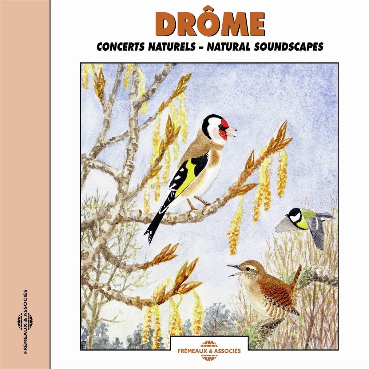 ‎Drôme Concerts naturels / Natural Soundscapes - Album by Frémeaux ...