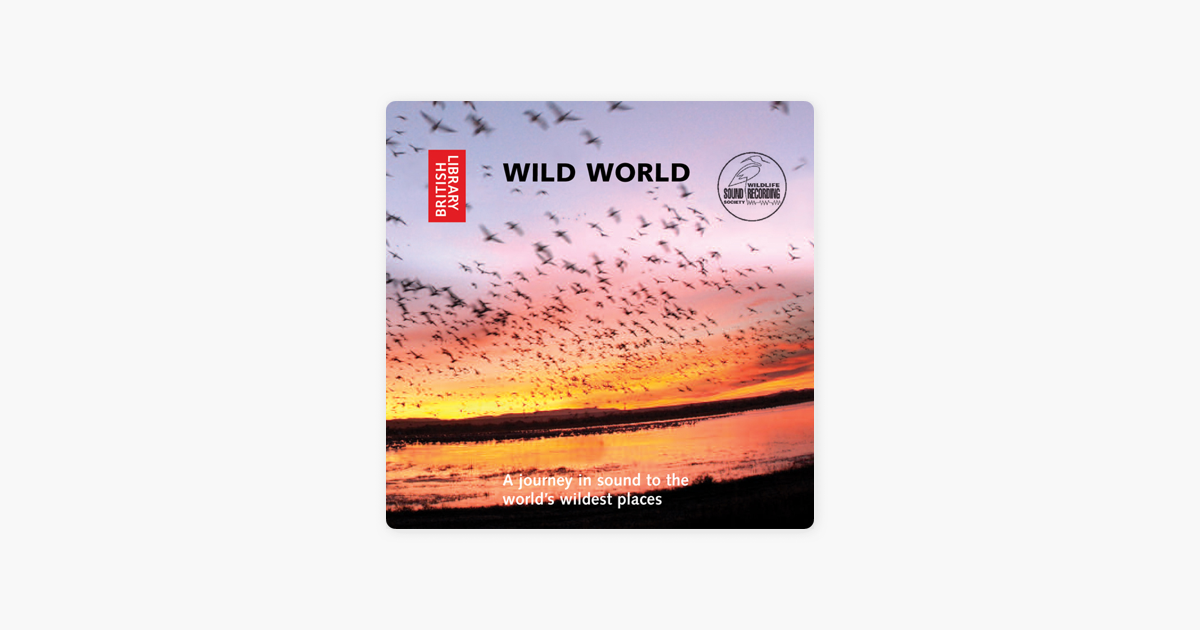 Wild World: A Journey in Sound to the World's Wildest Places“ von The ...