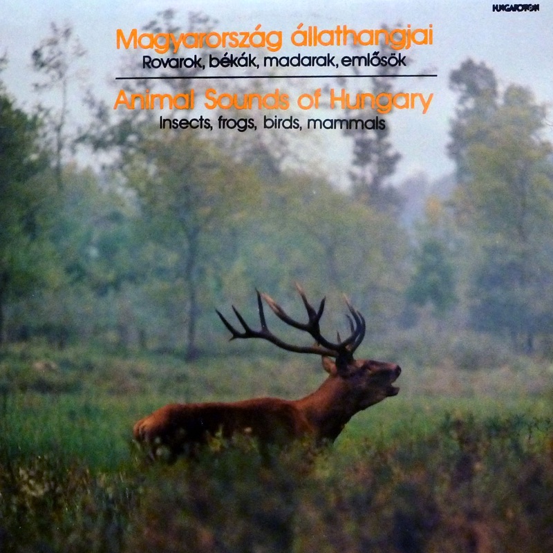Sárgahasú Unkák Peterakáskor - Ország Mihály: Song Lyrics, Music Videos ...