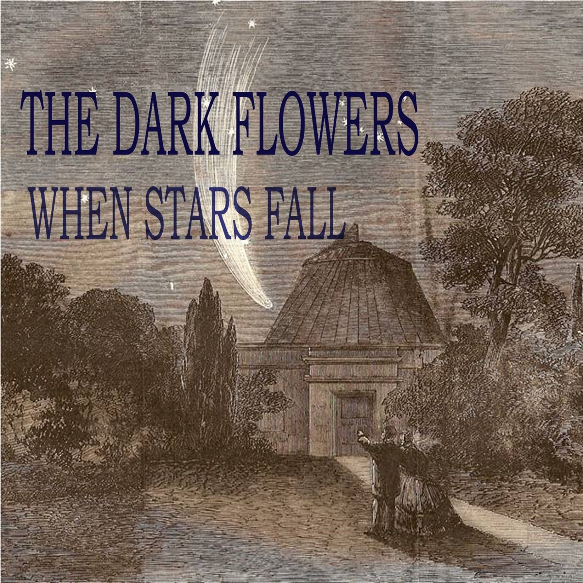 When Stars Fall - EP》- The Dark Flowers的专辑 - Apple Music