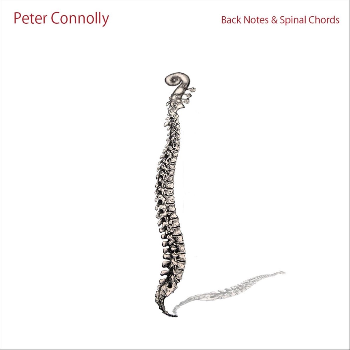 ‎Back Notes and Spinal Chords - Album by Peter Connolly - Apple Music