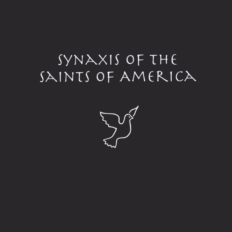 Goodbye - Synaxis of the Saints of America: Song Lyrics, Music Videos ...