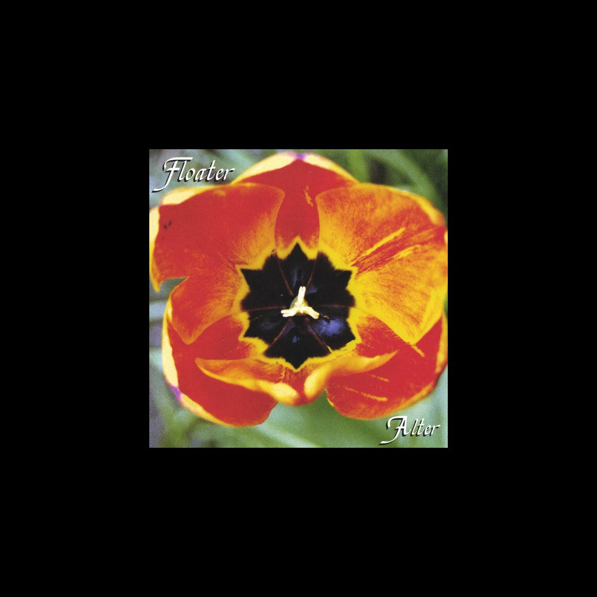 ‎Alter - Album by Floater - Apple Music