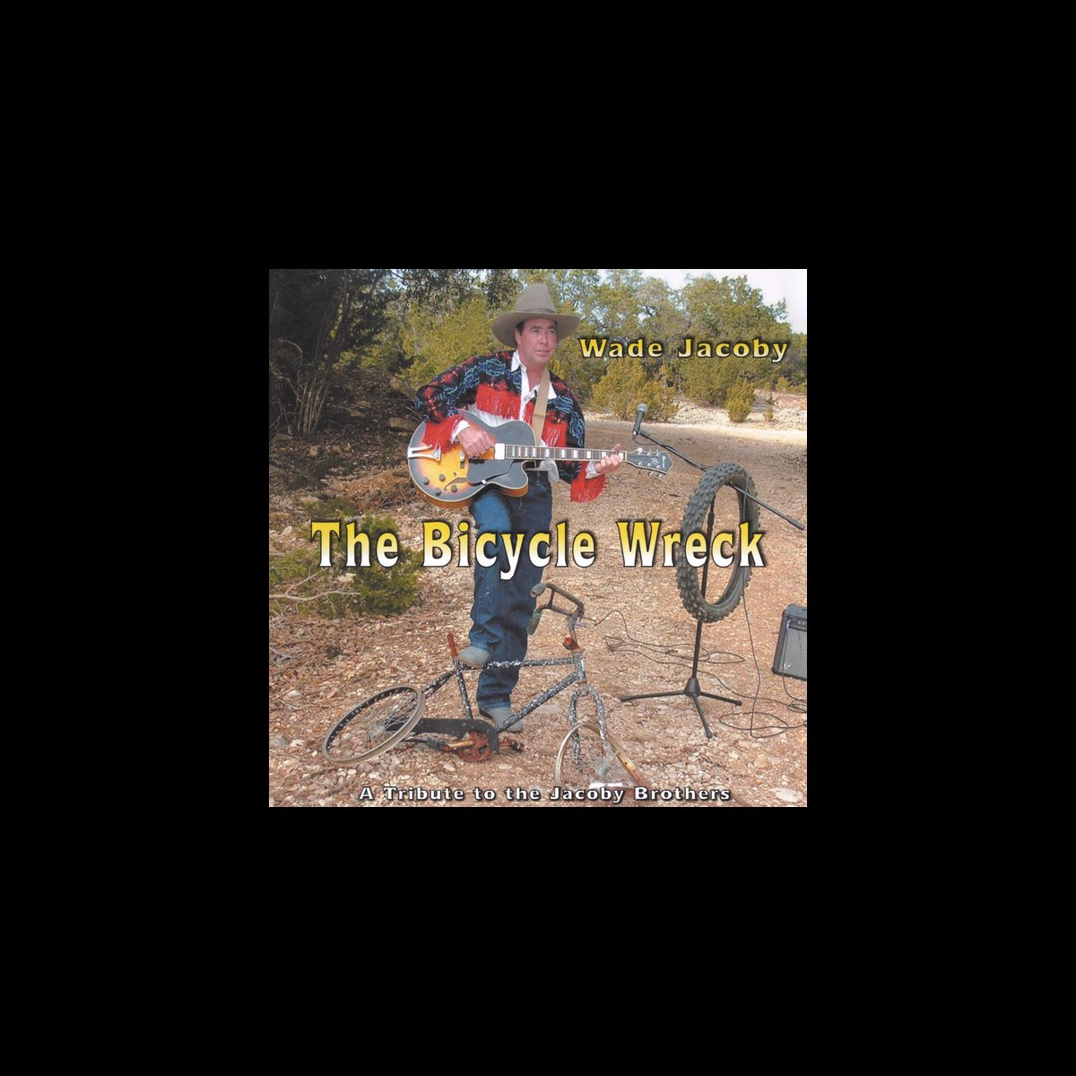 ‎The Bicycle Wreck: A Tribute to the Jacoby Brothers - Album by Wade ...