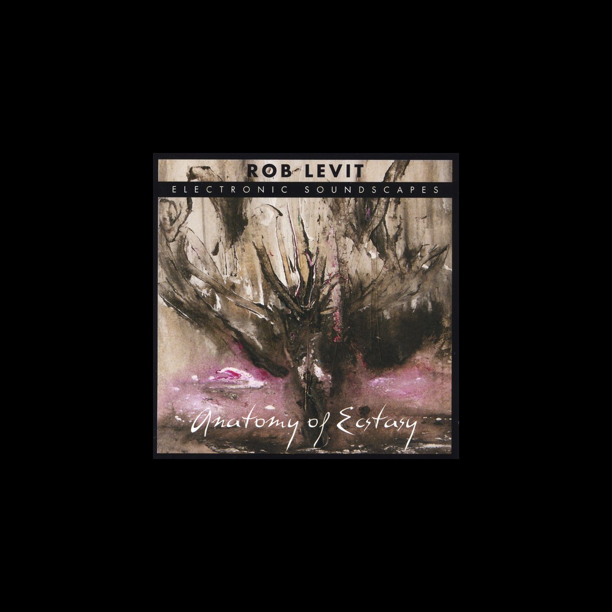 ‎Anatomy of Ecstasy - Album by Rob Levit - Apple Music