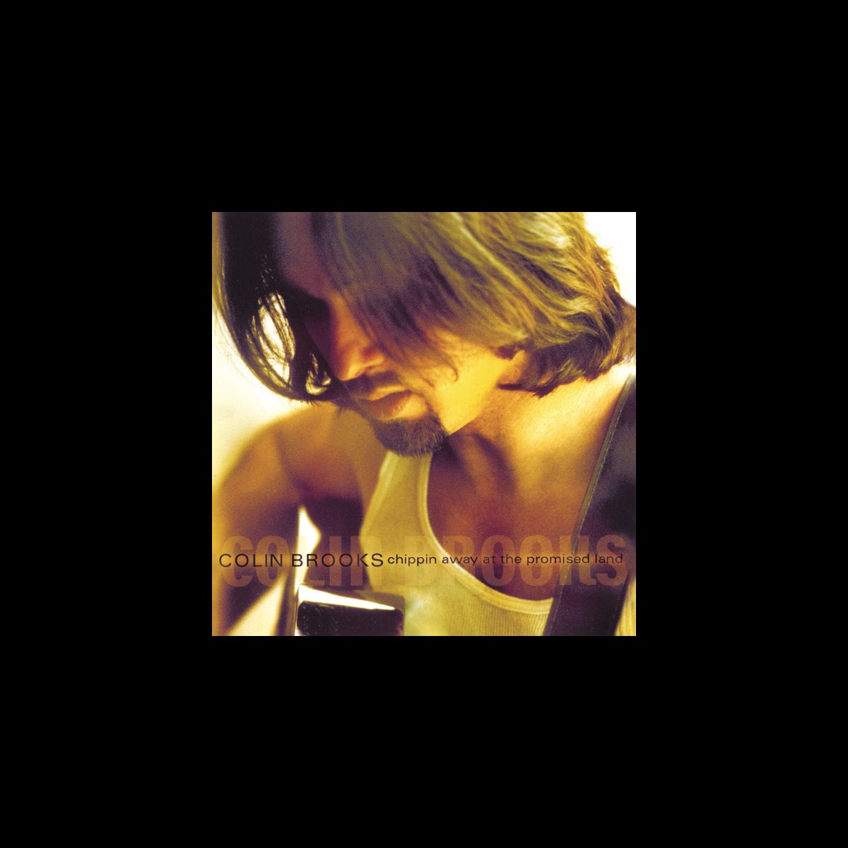 ‎Chippin' Away At the Promised Land - Album by Colin Brooks - Apple Music