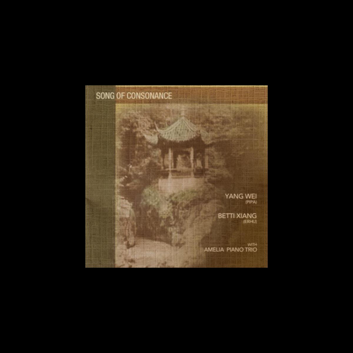 ‎Song of Consonance by Amelia Piano Trio, Betti Xiang & Yang Wei on ...