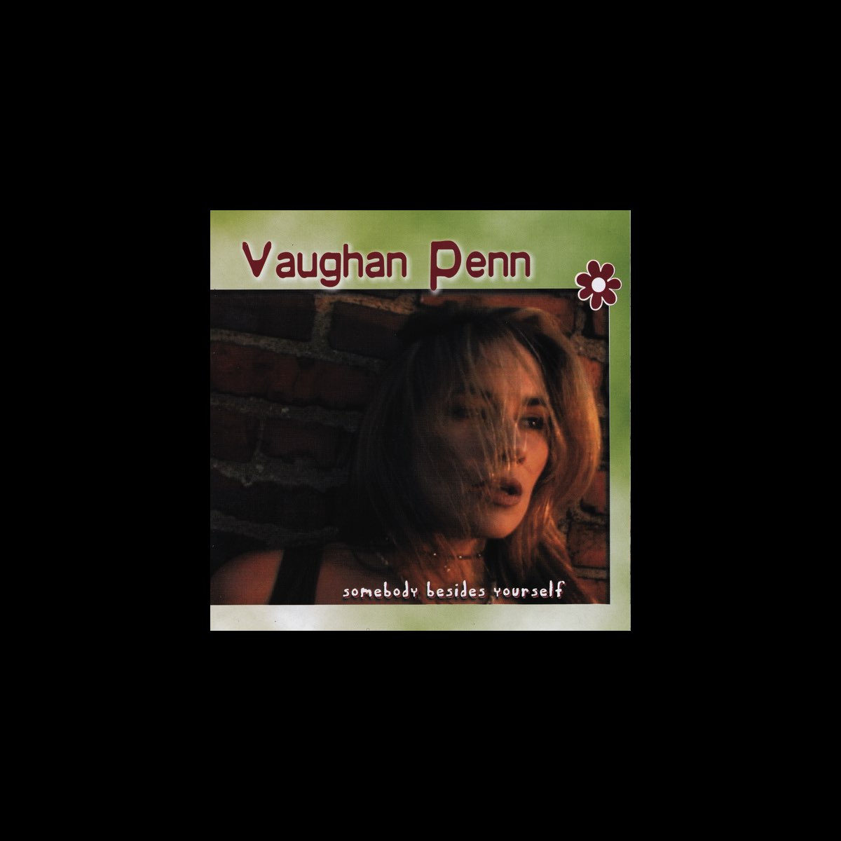 Somebody Besides Yourself》- Vaughan Penn的专辑 - Apple Music