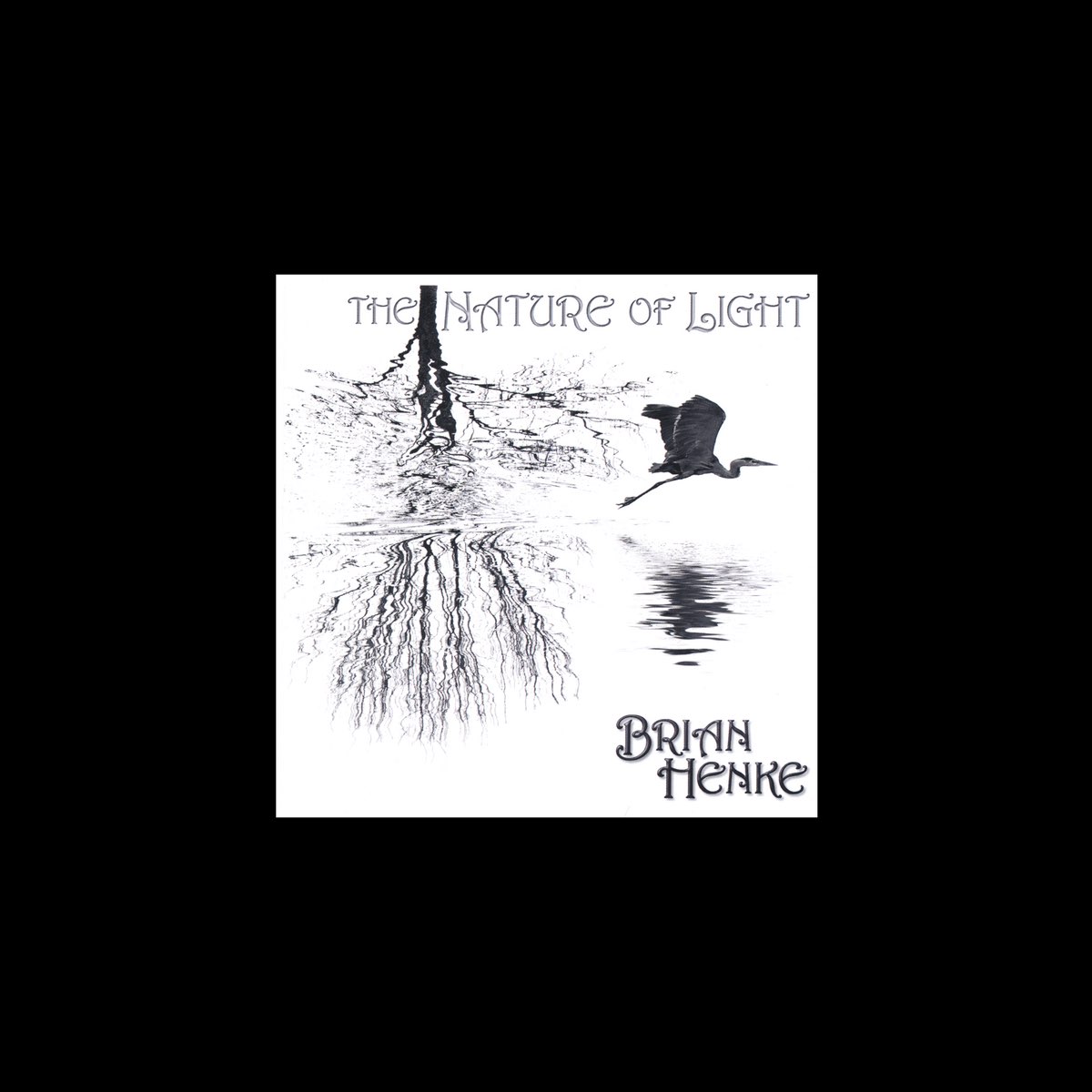 ‎The Nature of Light - Brian Henkeのアルバム - Apple Music