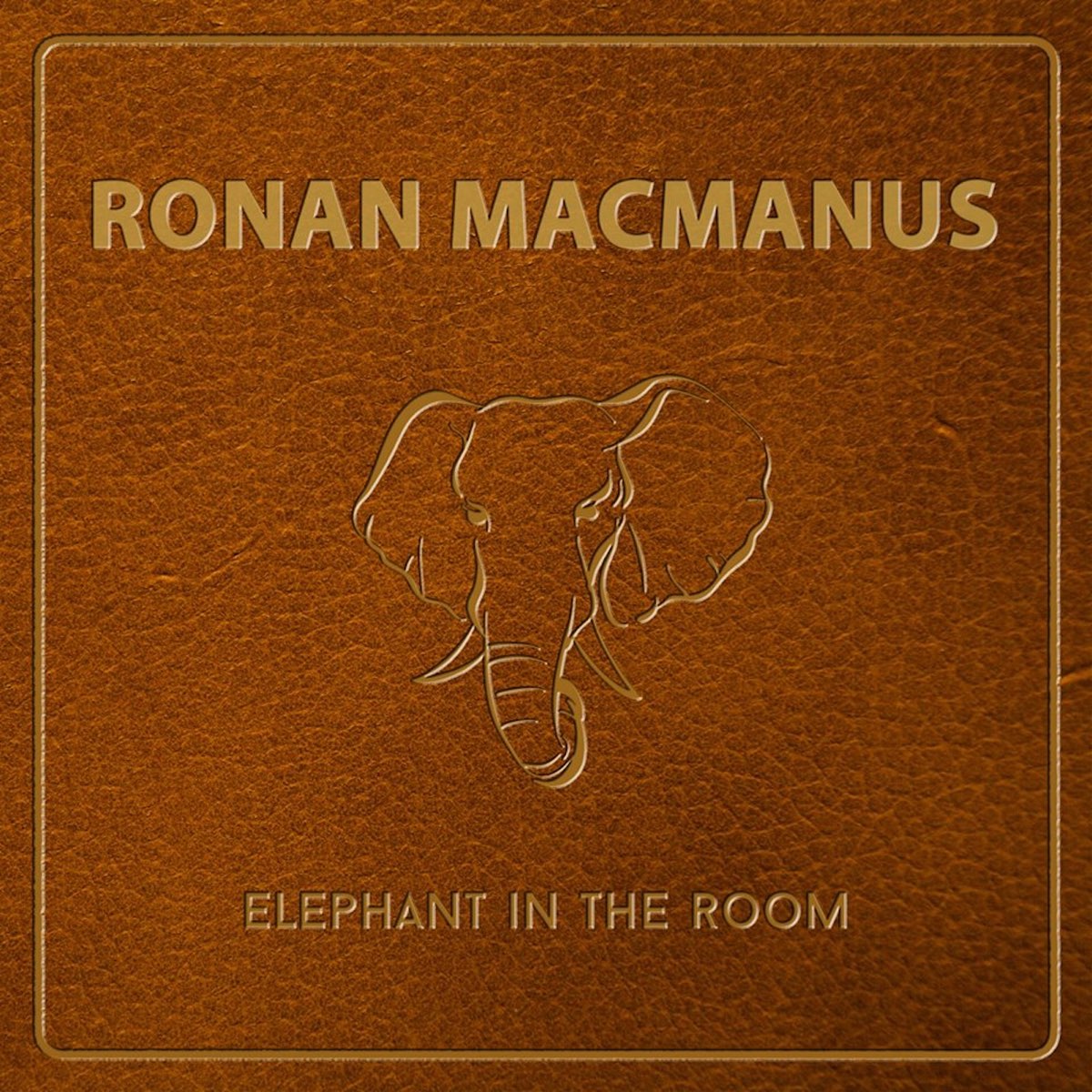 Elephant in the Room》- Ronan Macmanus的专辑 - Apple Music