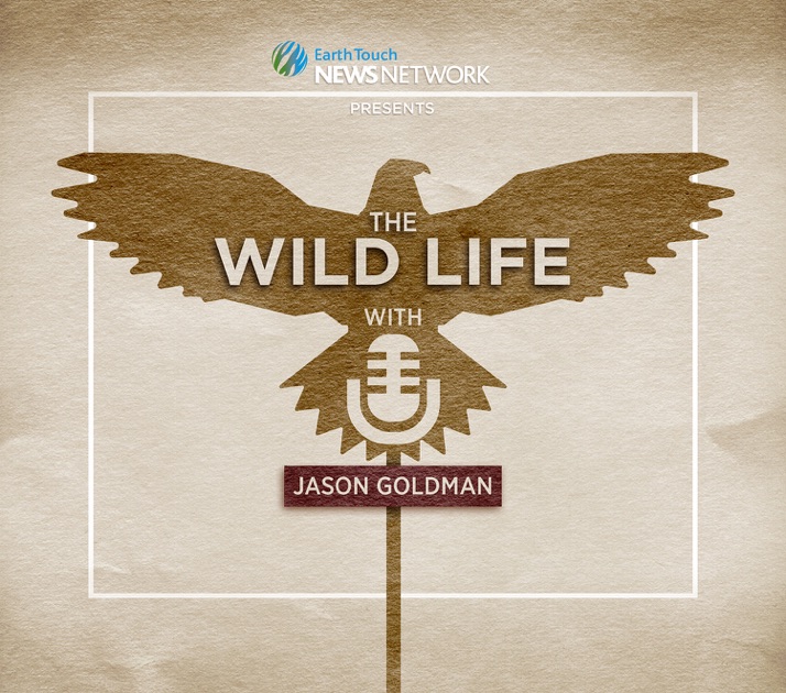Effectively Wild Podcast