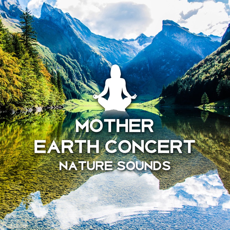 Northern Lights - Zen Soothing Sounds of Nature: Song Lyrics, Music ...