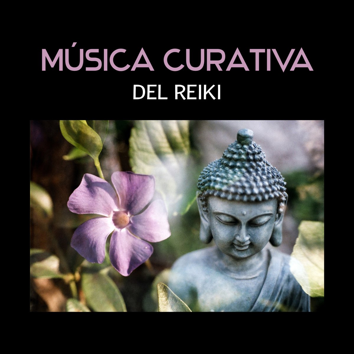 música Curativa Del Reiki Yoga Y Meditación Terapia De La Música