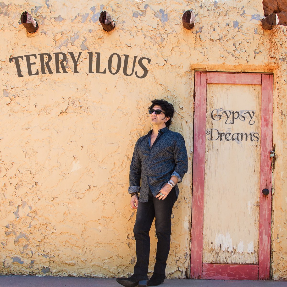 ‎Gypsy Dreams - Album by Terry Ilous - Apple Music