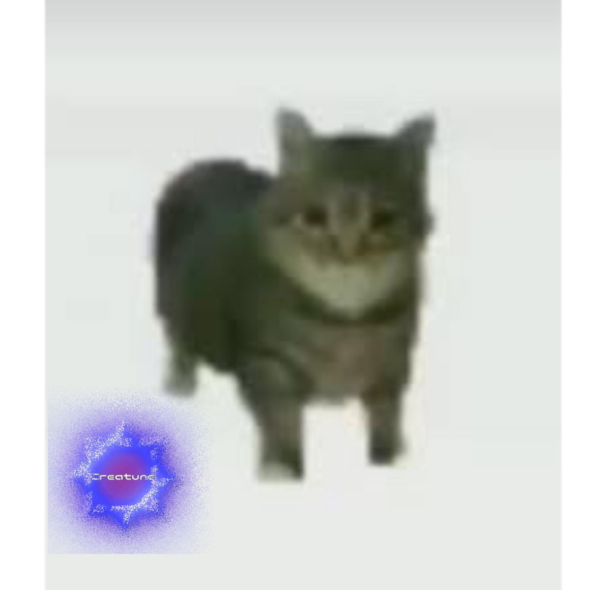 Oiiaoiia - Single” álbum de Creatune en Apple Music