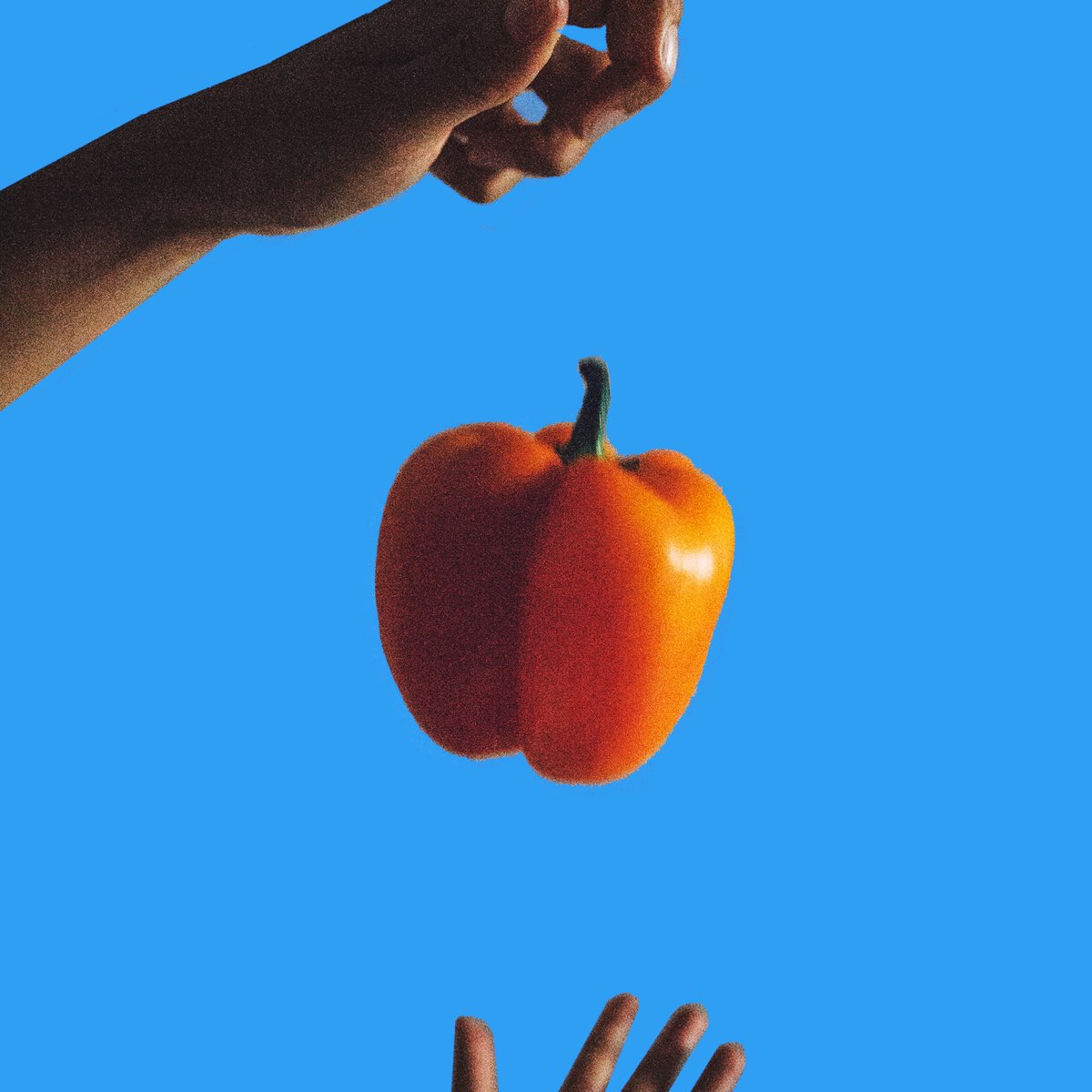 ‎KOLA ((Deluxe Edition)) - EP - Album by ZOLA & Koa Ho - Apple Music