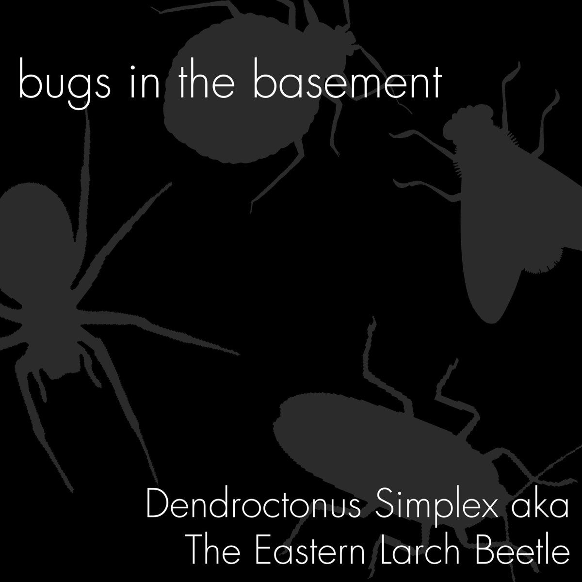 ‎Dendroctonus Simplex aka the Eastern Larch Beetle - Album by Bugs in ...