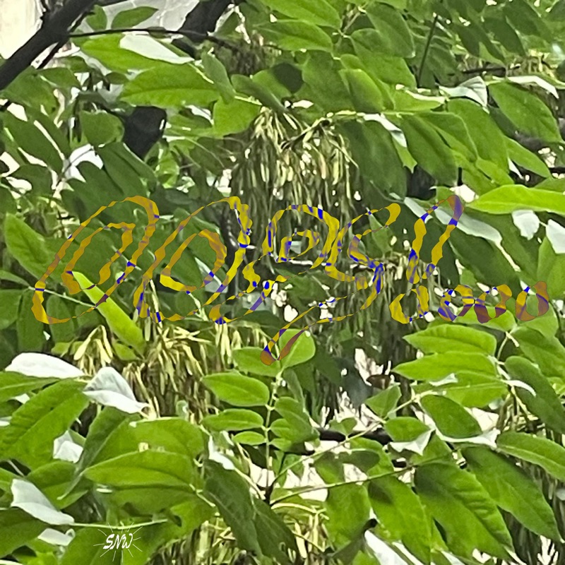 Oops!...I Did It Again - Austin Weber: Song Lyrics, Music Videos & Concerts