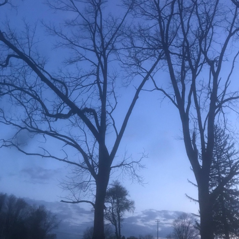 Commas - VENDETTA!: Song Lyrics, Music Videos & Concerts